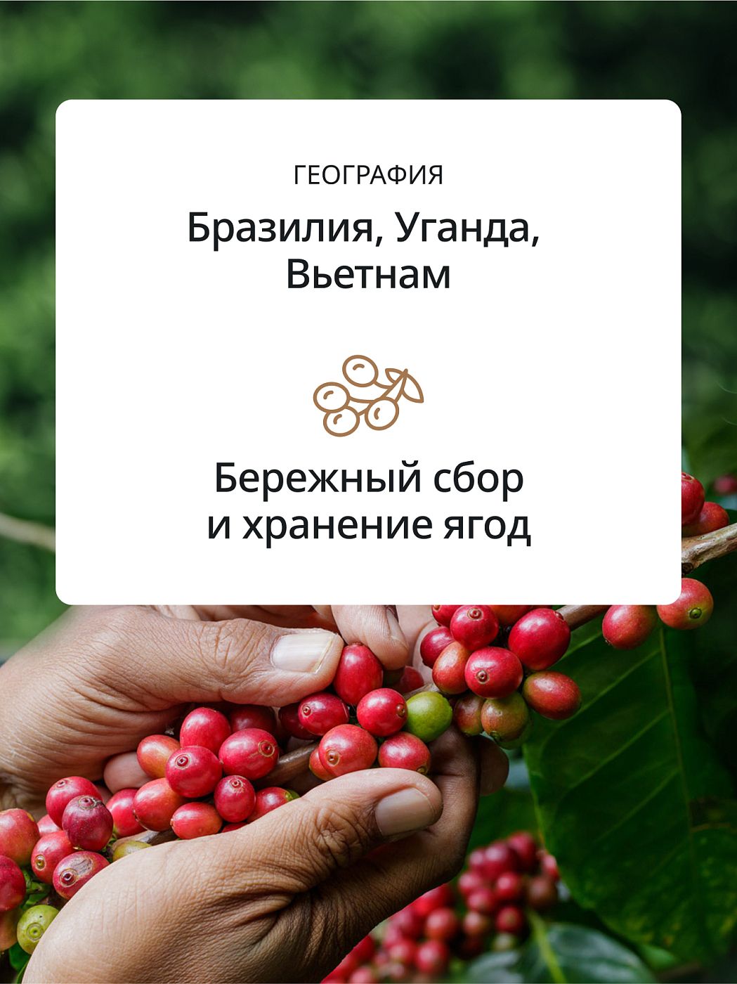 Кофе DeLonghi Signature Black 1 кг - Купить в официальном интернет-магазине